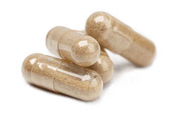 Zenith Labs® - Official Website